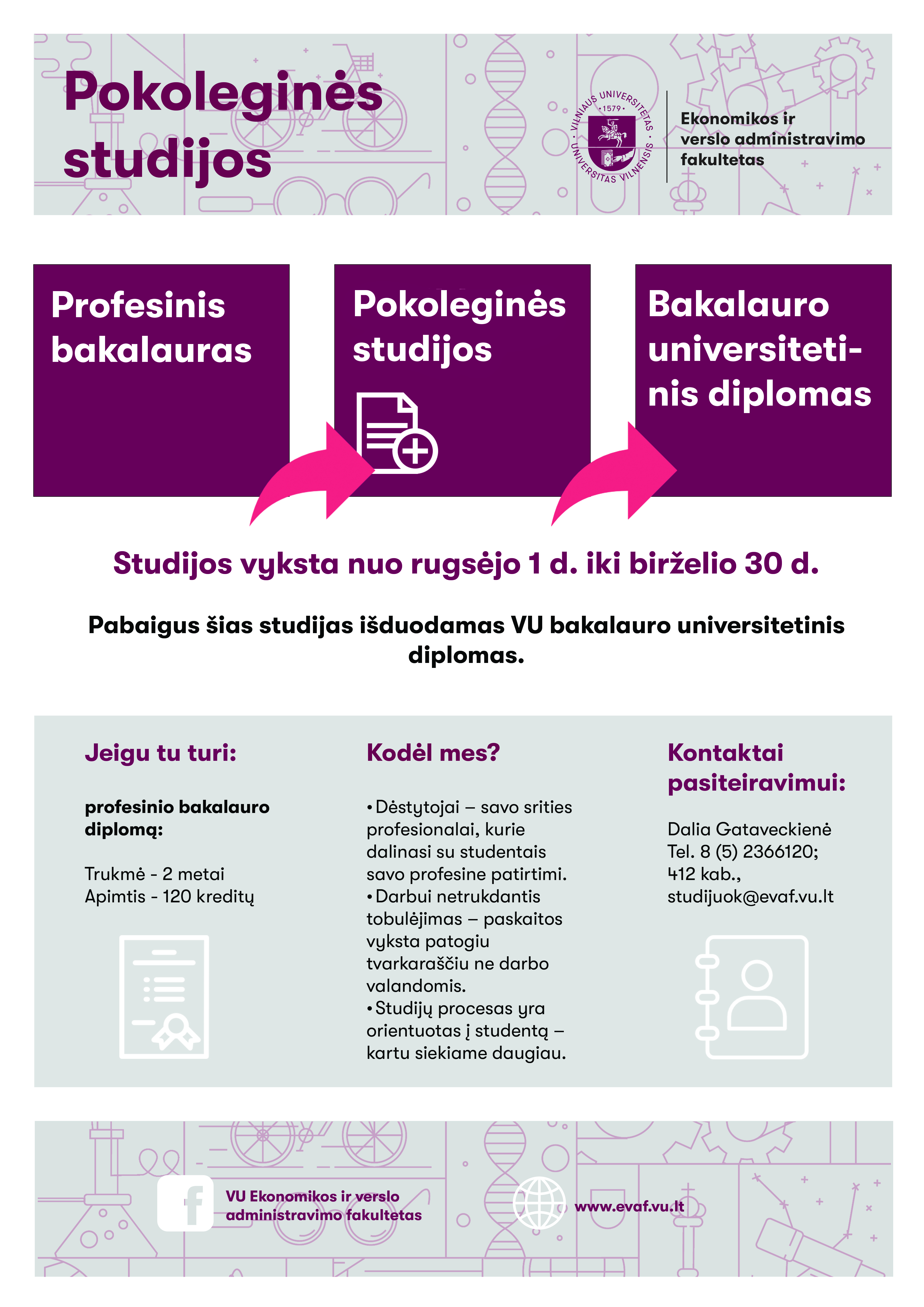 VU Ekonomikos ir verslo administravimo fakultetas - Siūlomos studijos
